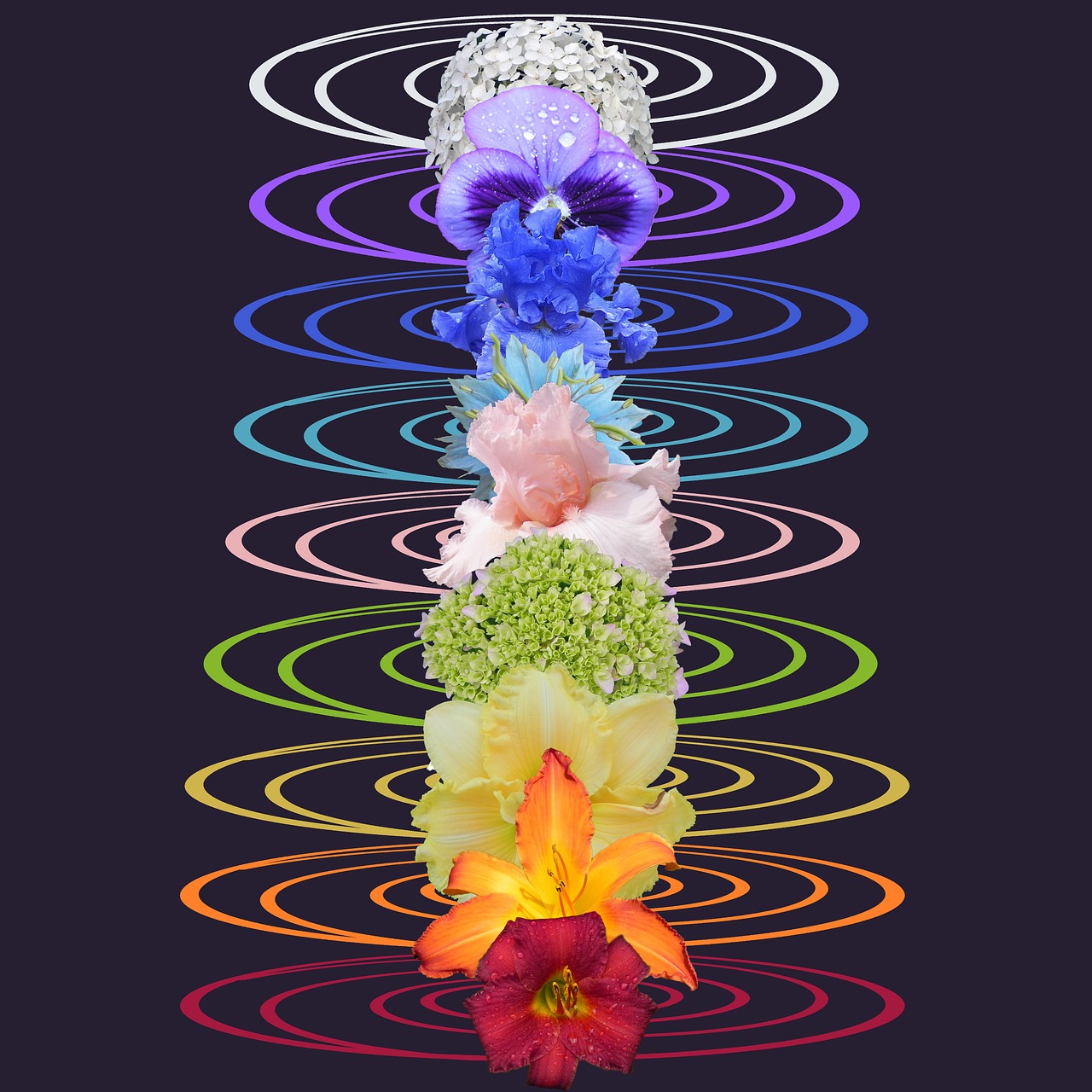 Chakren: Die verblüffende Verbindung zwischen Körper und Seele ...